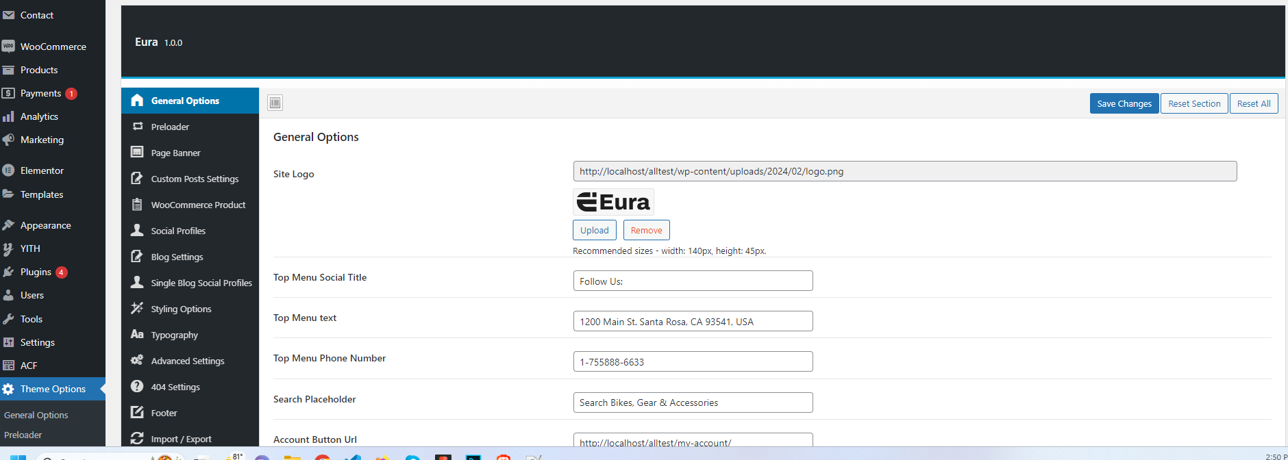 Theme Options – HiBootstrap